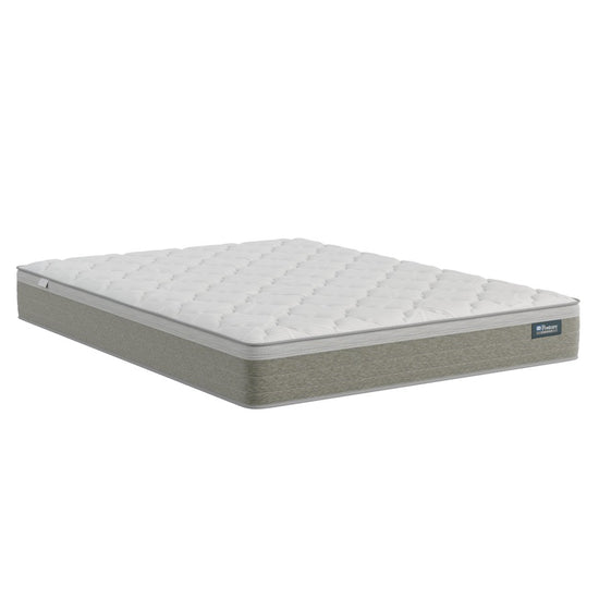 Sealy Posture Premier Hugo Plush